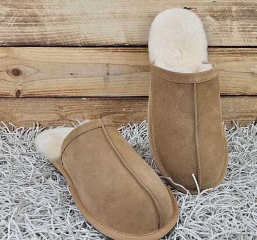 Тапки Ugg Mens Scuff Slipper Chestnut оригинал