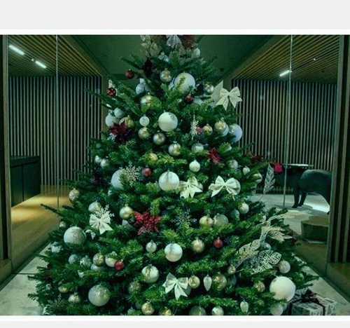 Сруб Ёлка срез