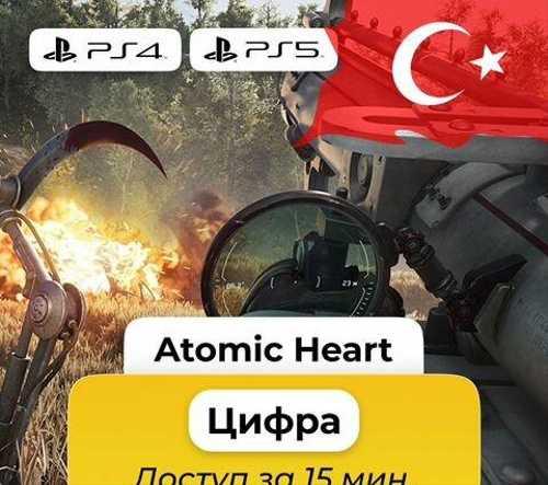 Atomic Heart. Turkey