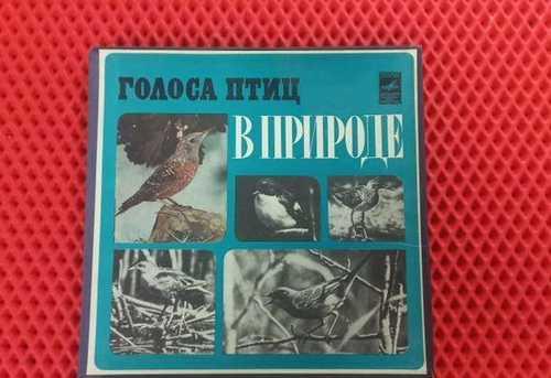 Набор грампластинок Голоса птиц в природе