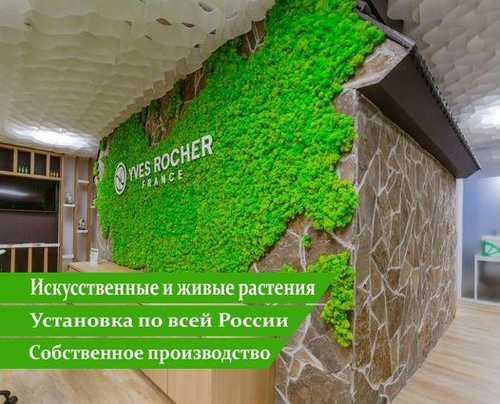 Cтабилизированный мох – фитостены