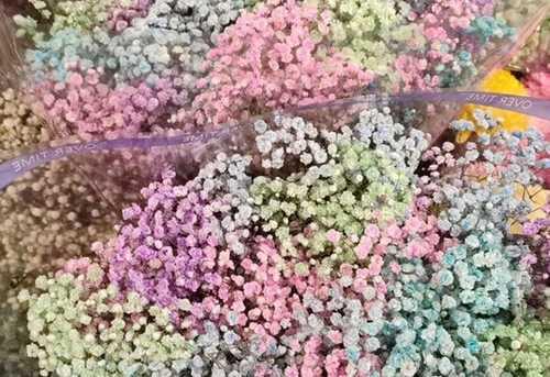Гипсафило розно цветы