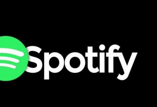 Spotify premium пожизненно