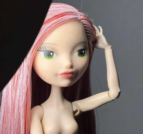 Ooak Ever After High