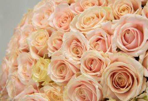 Букет из 101 розовой розы 40 см (Россия) под ленту