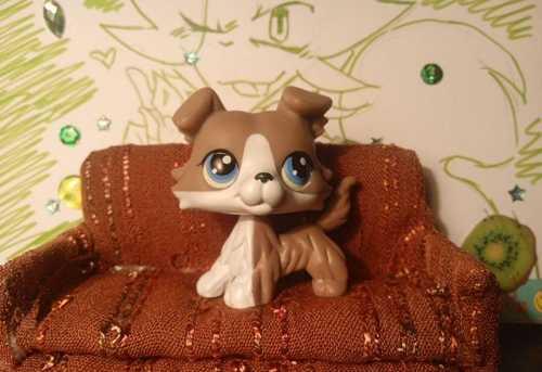 Littlest Pet Shop lps лпс колли собака