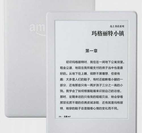 NoEnName Null Kindle 8th 4 гб used k8 white, E-book Reader   Чехол   Screen Protector Наборы