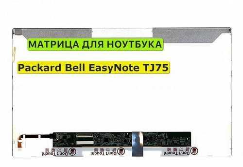 Матрица для Packard Bell EasyNote TJ75 40pin 1366x