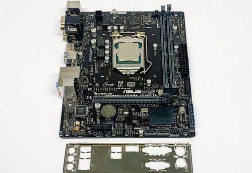 Комплект asus prime H310M-R Intel Celeron G4920