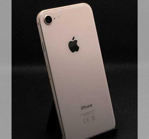 iPhone 8, 256 ГБ