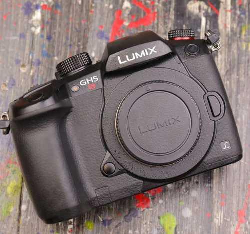 Panasonic Lumix DC-GH5S Body s/n 206