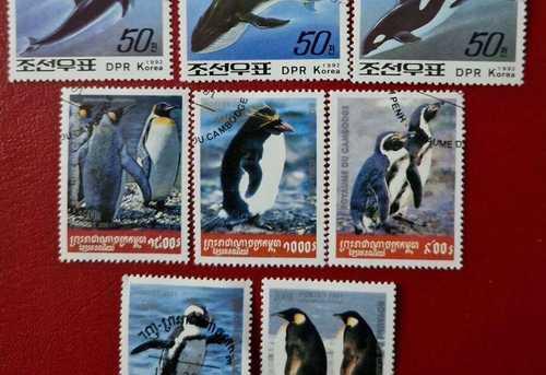 Почтовые марки Киты и Пингвины