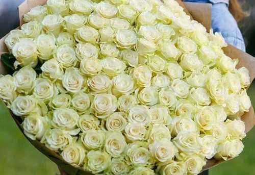 Цветы букеты 101 белая роза 70 см