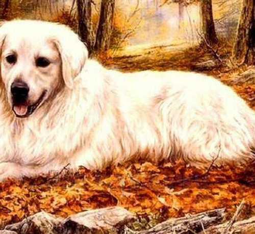 Алмазная мозаика 40x50 Белый пес среди осенней лис