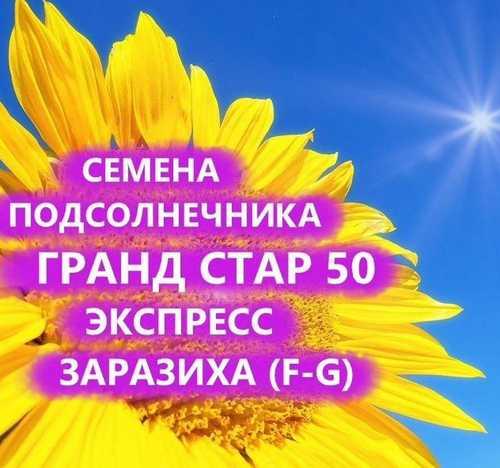 Семена подсолнечника Гранд Стар 50 Гибрид, Уфа