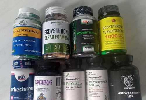 Спортивное питание ашваганда экдистерон форсколин