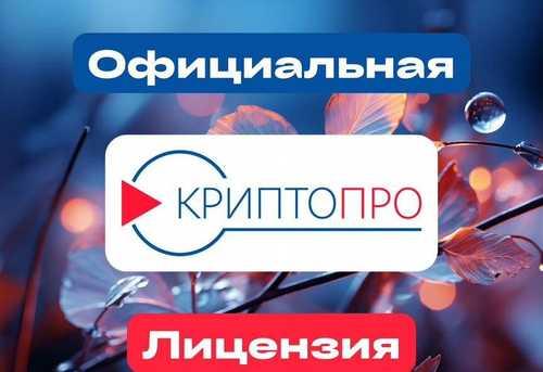 Официальный ключ Криптопро версии все издания