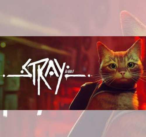 Stray PS4/PS5