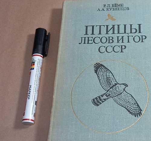 Птицы лесов и гор СССР. Полевой определитель Кузне