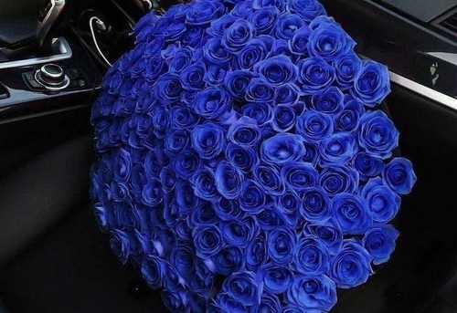 Розы. Синие розы. Большой букет роз