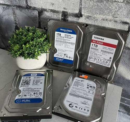 Жёсткие диски WD Blue / Toshiba P300 / Seagate