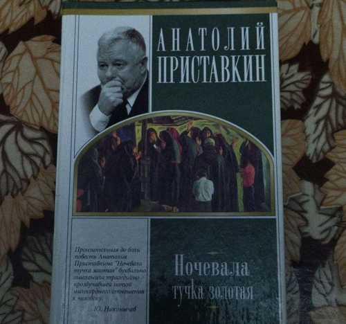 Книга Анатолий Приставкин «Ночевала тучка золотая»