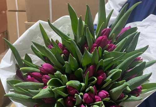 Тюльпаны к 8 марта крупные Фиолетовые