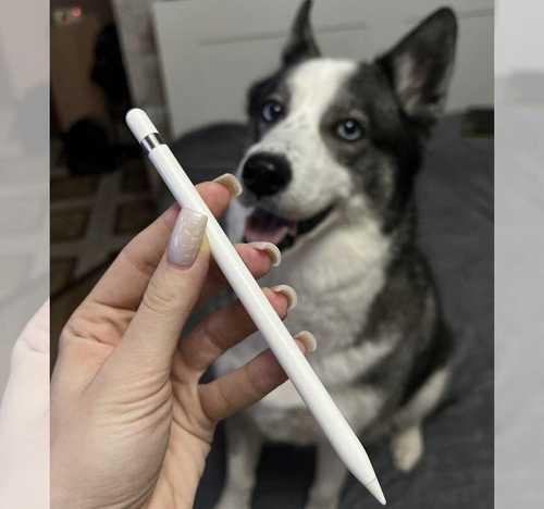 Apple pencil 1 поколения