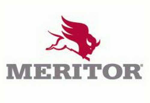 Meritor MST3207 Ключ крышки ступицы