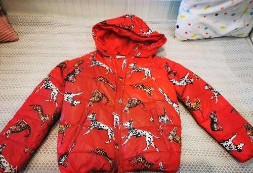 Куртка Acoola 146 осенняя красная с собаками Акула