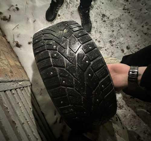 Gislaved Euro Frost Van 205/55 R16