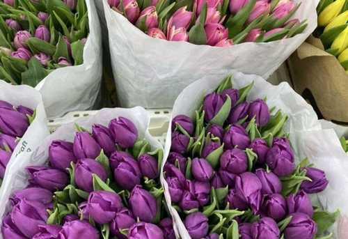 Тюльпаны к 8 марта оптом цена актуальная