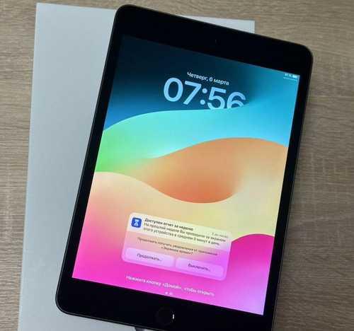 iPad mini 5 256 gb