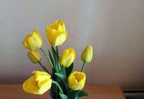 Цветы тюльпаны можно с луковицаии