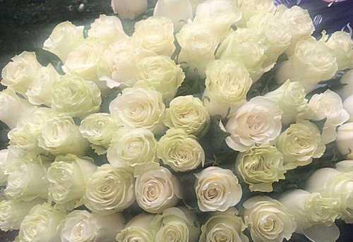 Цветы с оформлением 25, 51, 101 розы Эквадор СПб