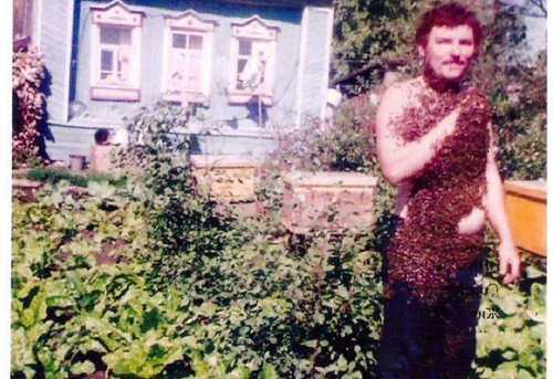 Продам прополис