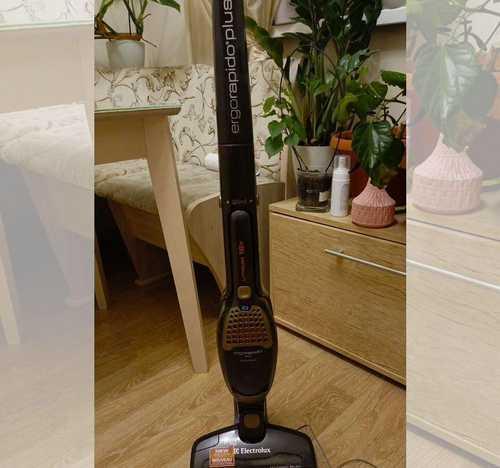 Пылесос electrolux ergorapido plus