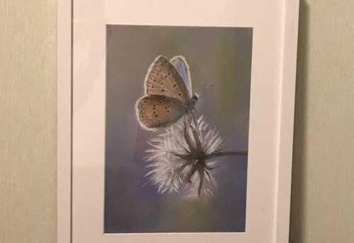 Картина Пастель Одуванчик и бабочка
