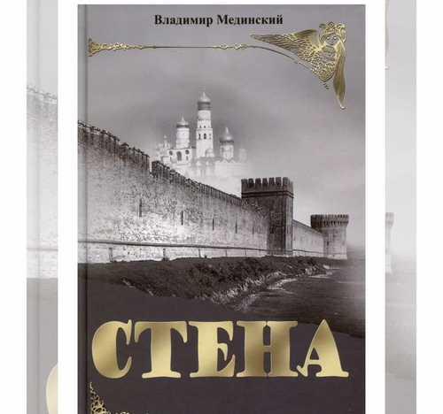 Стена мединский книга