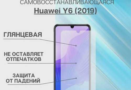 Защитная Пленка Huawei Y6 2019