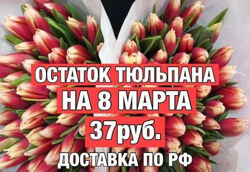 Тюльпаны к 8 марта оптом