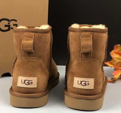 Угги Ugg Classic Mini II Chestnut