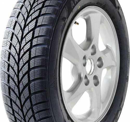 Maxxis WP-05 ArcticTrekker 175/60 R15 81T