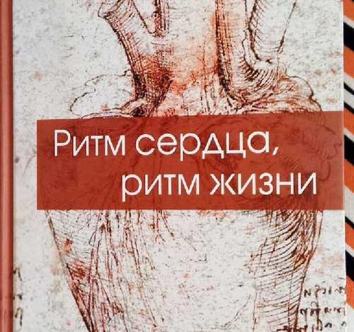 А.В.Литвинов. Ритм сердца, ритм жизни