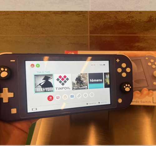 Nintendo switch lite прошитая