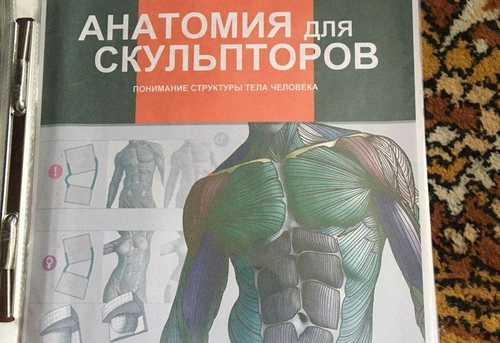 Анатомия для скульпторов anatomy for sculptors