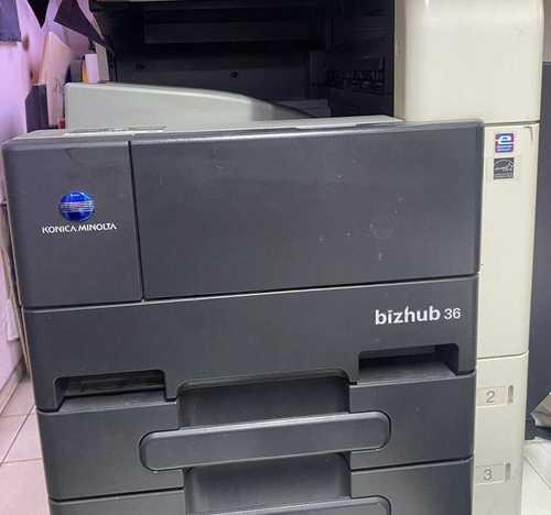 Мфу konica minolta bizhub 36