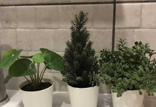 Растение икеа IKEA фейка