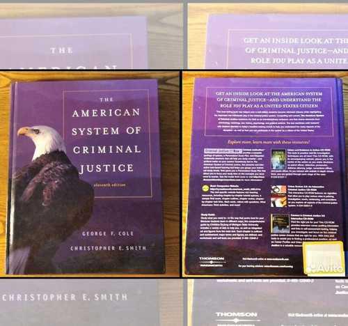 Книга The American System of Criminal Justice 2007