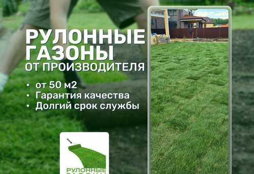 Рулонный газон. Насыщенный зеленый цвет